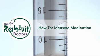 How To: Measure Medication – The Rabbit Doctors