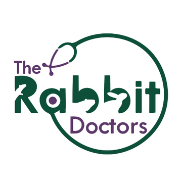 How To: Give Subcutaneous Injection – The Rabbit Doctors